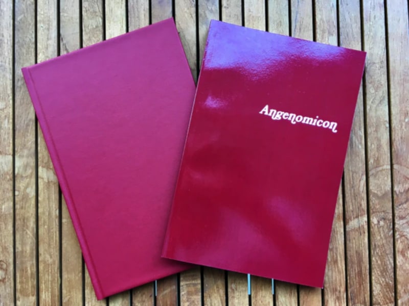 “The Angenomicon: A Grimoire of Angel Magic” by Travis McHenry (The ...